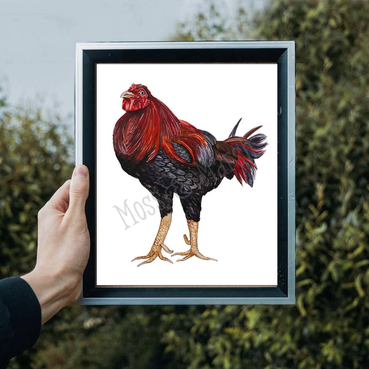 Sir Big Spur- University of South Carolina Collage Print – Moss & Marsh